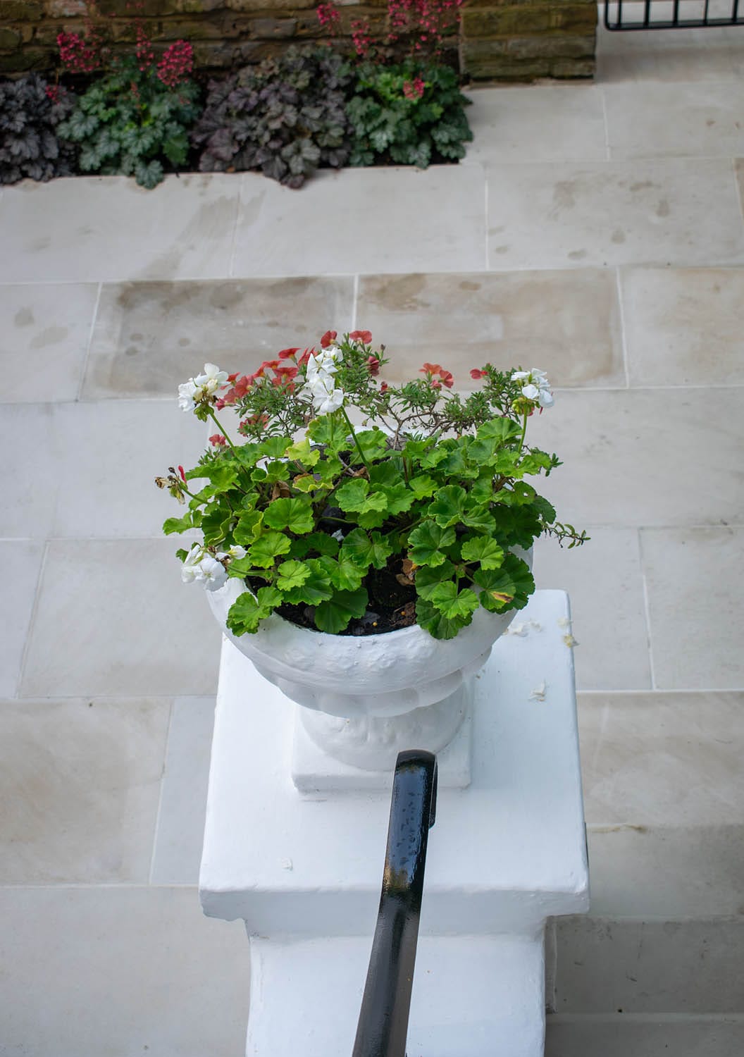 Greenery & Planting Gallery » The London Front Garden Company