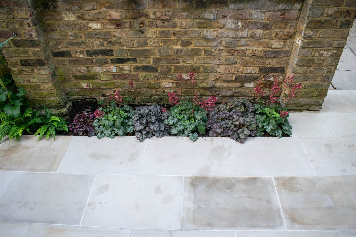 Greenery & Planting Gallery » The London Front Garden Company